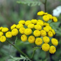 Press – KateLynn Hibbard